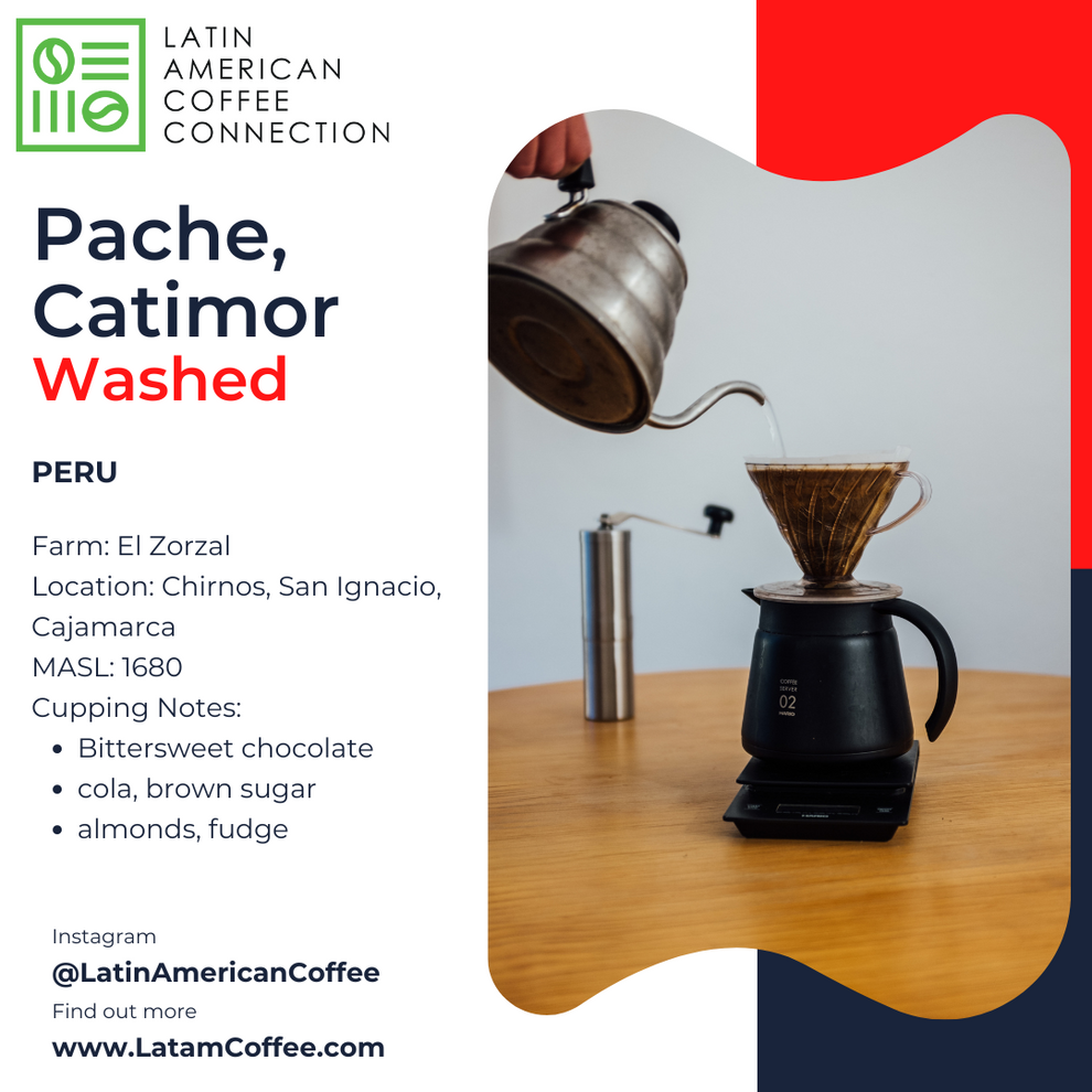Pache, Catimor Washed - Roasted Arabica Coffee from Peru - El Zorzal F ...